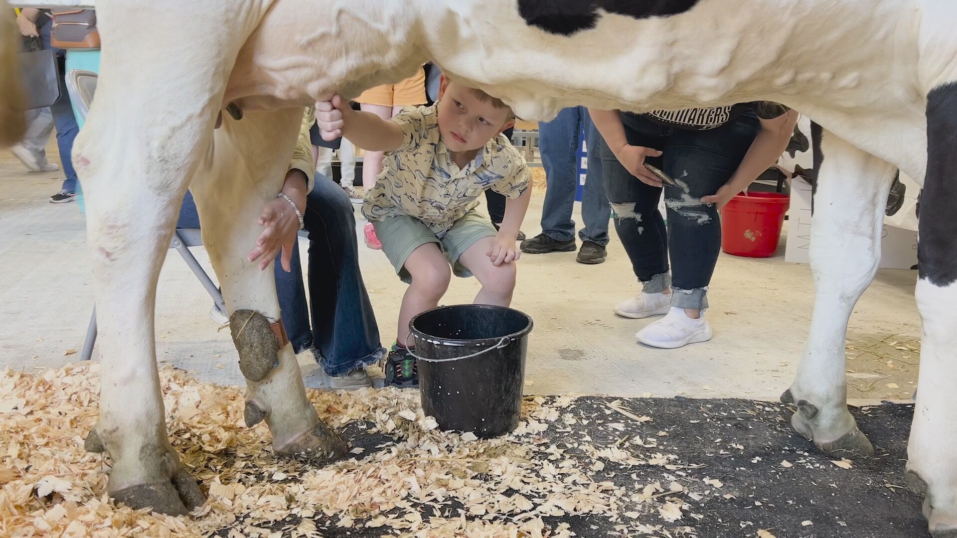 Purdue University Spring Fest coming up this weekend | Community | wlfi.com