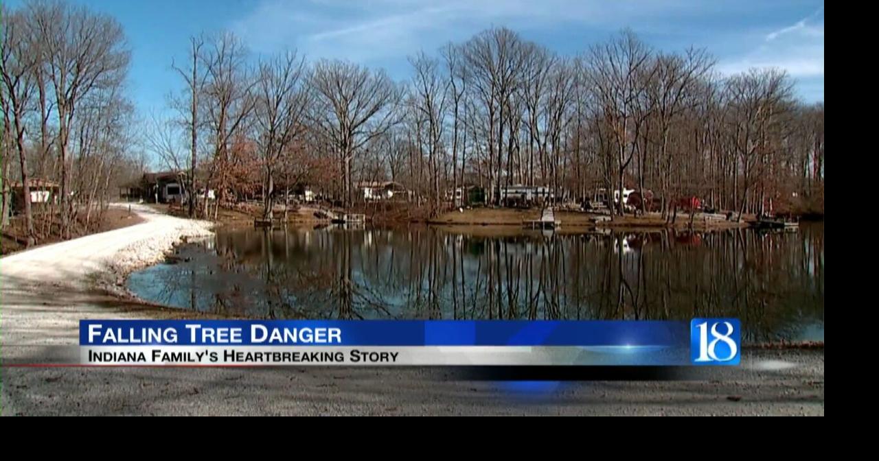 A family tragedy brings awareness to falling tree danger | Video | wlfi.com