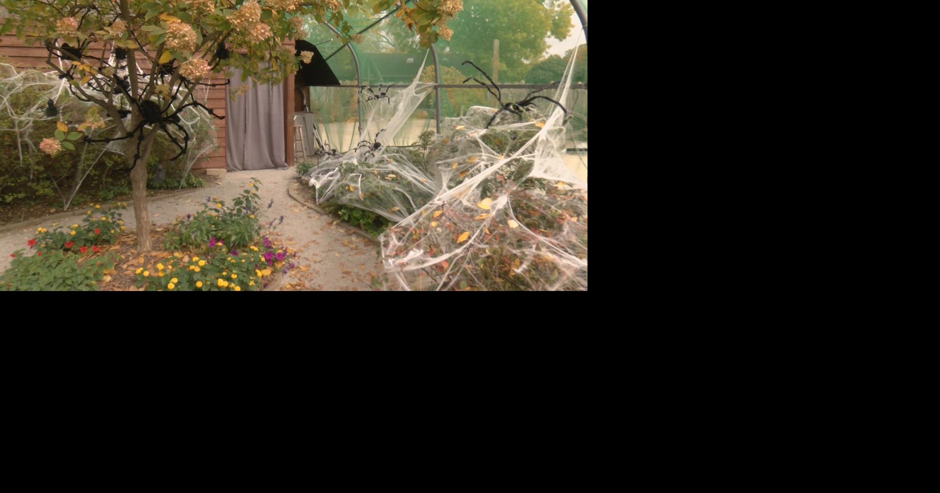 Boo at the Zoo! tickets now available | Local | wlfi.com