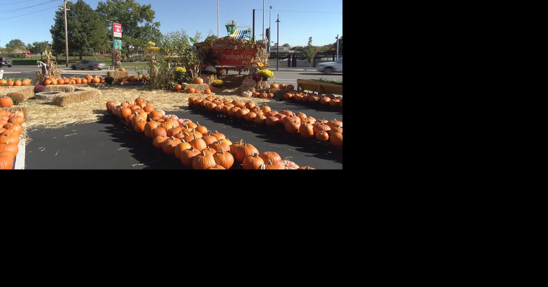 Congress Street United Methodist Church holds 20th Annual Great Pumpkin Patch | Local | wlfi.com