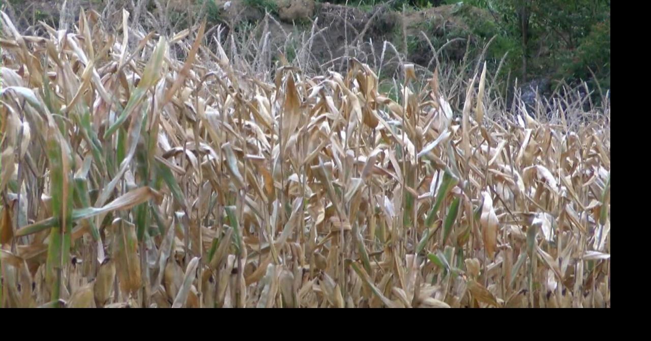 Dry fall creates perfect conditions for field and equipment fires ...