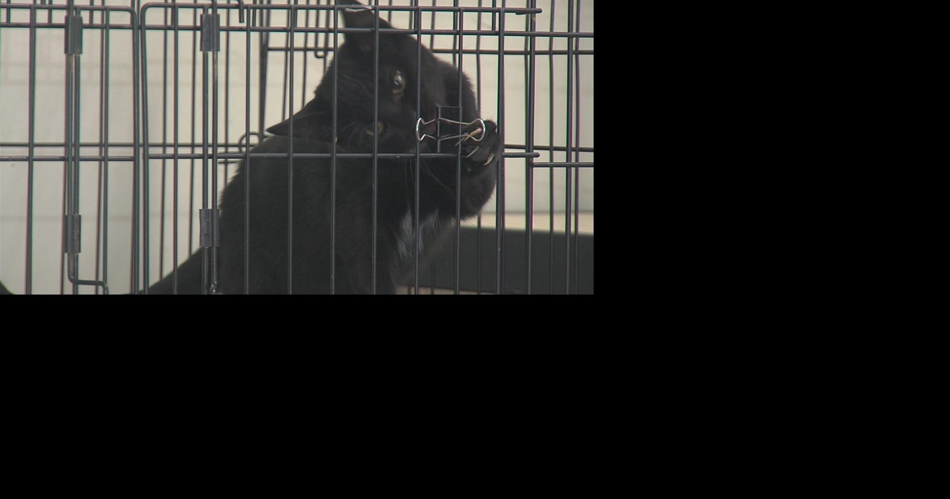 Indiana Senate Bill advances that would protect the retail sale of ...