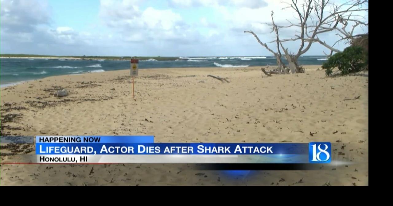 Lifeguard, Actor Dies after Shark Attack | Video | wlfi.com