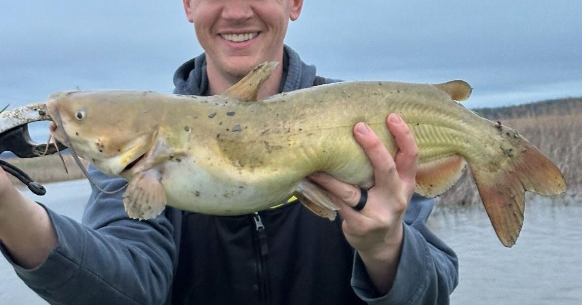 Linton dentist recognized by INDNR for setting state fishing record ...