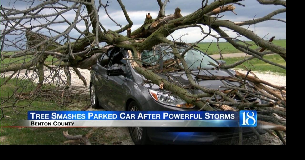 Tree Smashes Parked Car After Powerful Storms | Video | wlfi.com