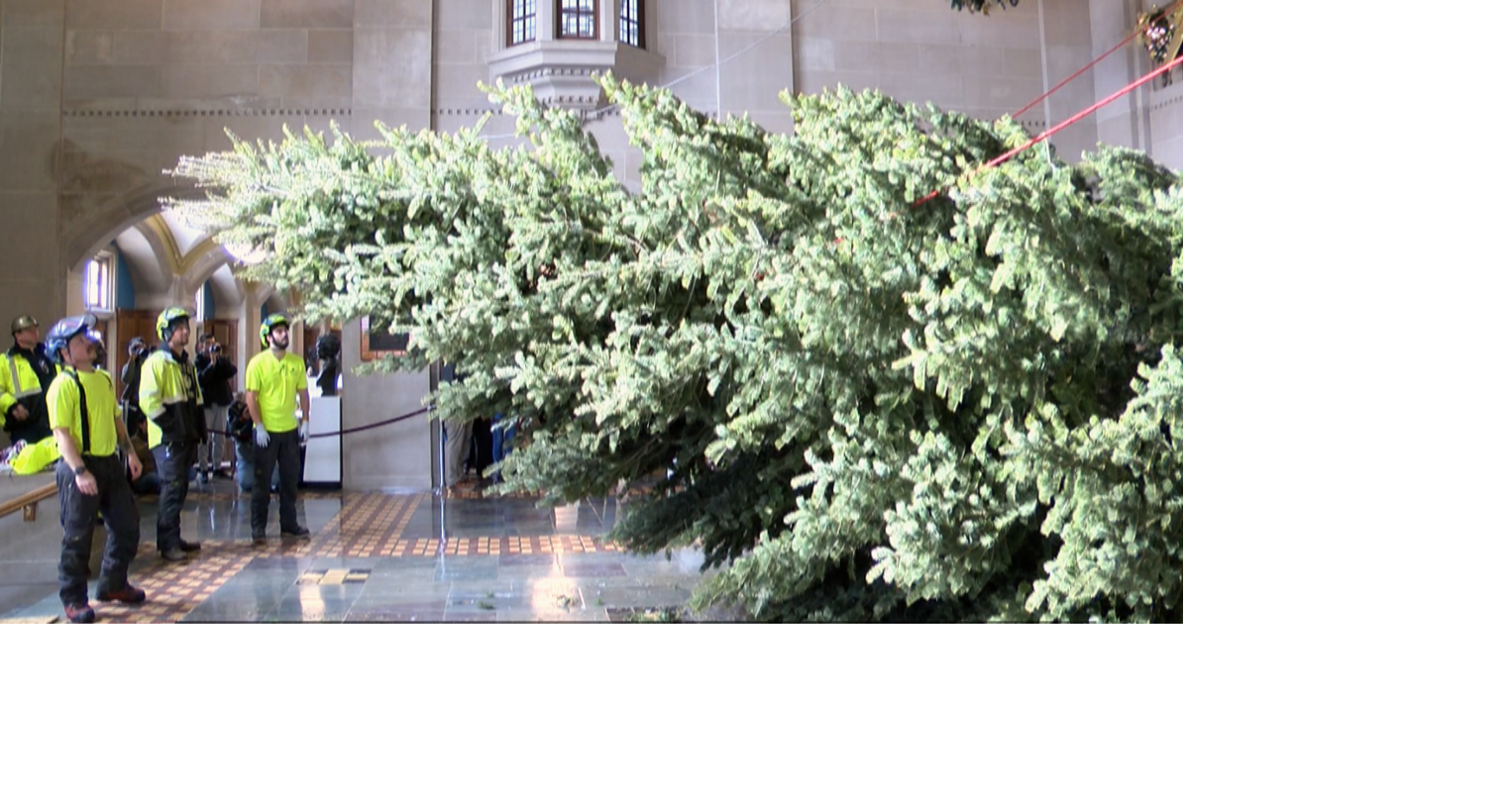 Purdue Memorial Union Christmas tree delivered for annual tradition ...