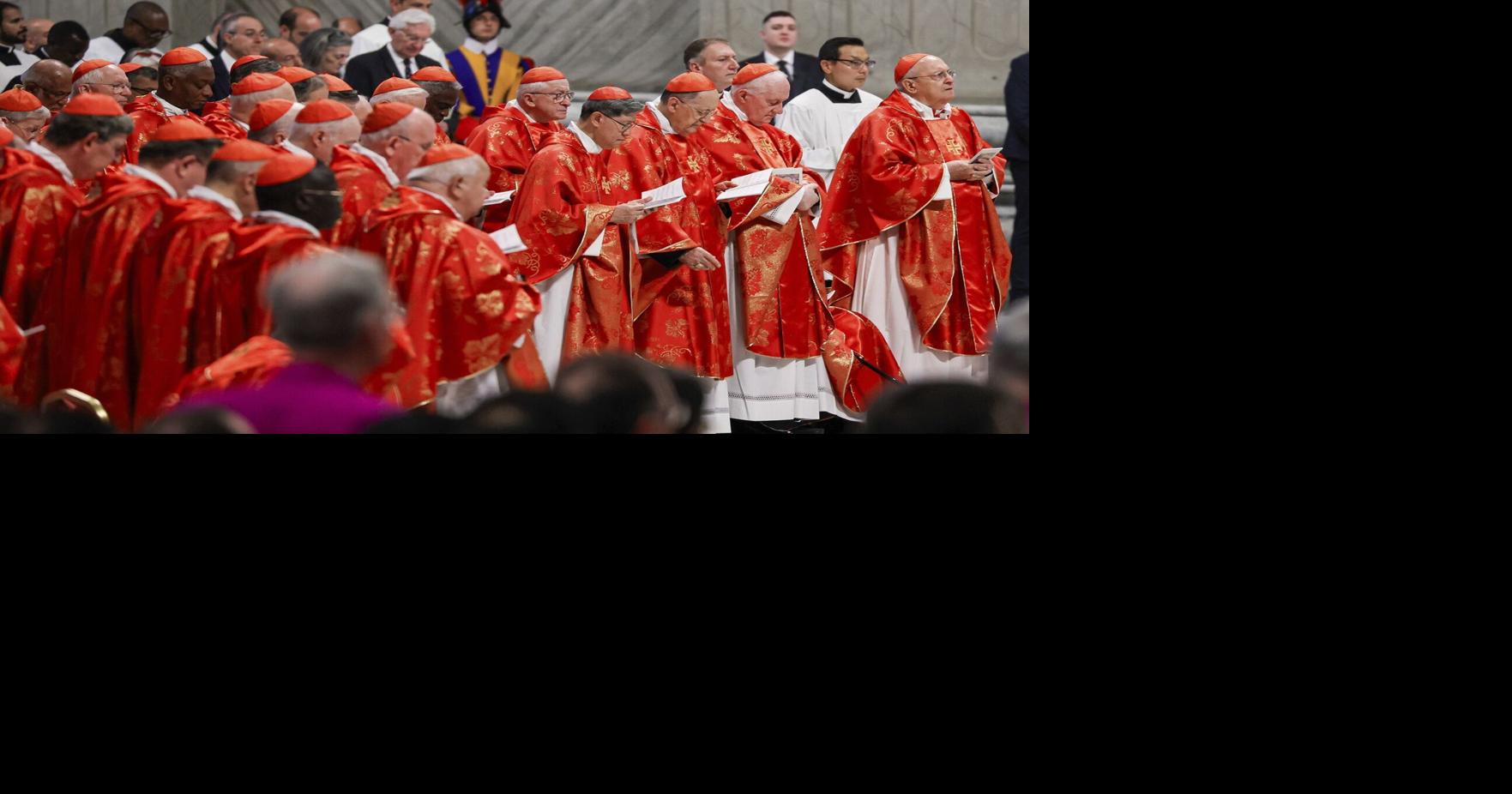 White smoke rises from Vatican as cardinals agree on Pope Francis ...