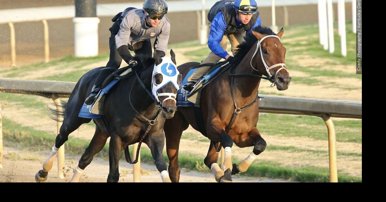 No longer the 'sport of kings,' horse racing is facing challenges in ...