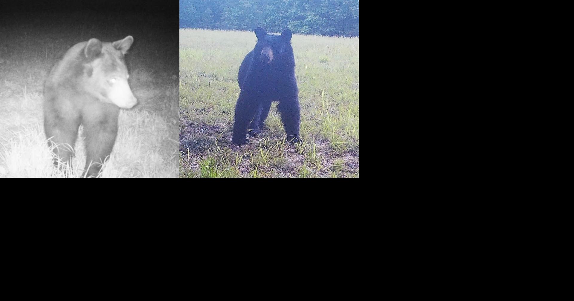 'Please be mindful of who we are sharing the woods with' — LBL shares ...