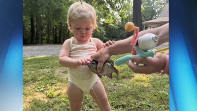 1/26 Big Fish | Sports | WPSD Local 6