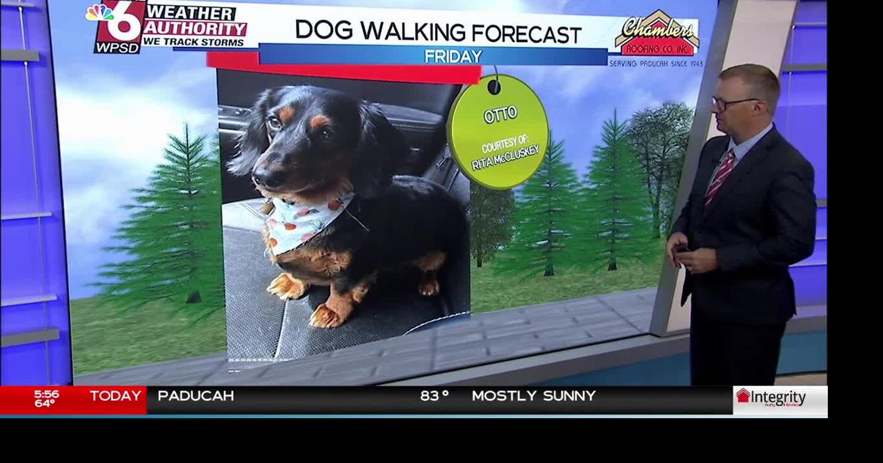 Dog walking forecast 6.19.26 | Weather | WPSD Local 6