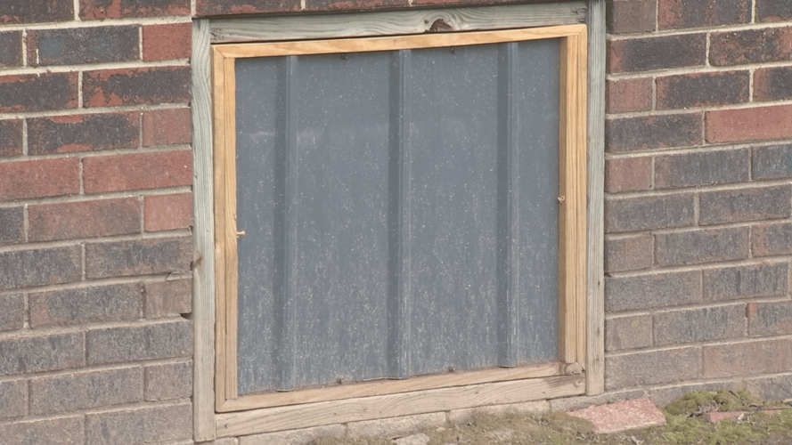 Expert shares how to prevent wildlife home invasions over winter | News ...