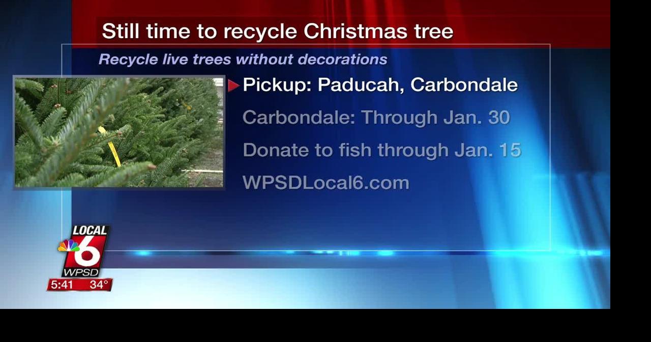 Still time to recycle live Christmas trees | Ott | WPSD Local 6