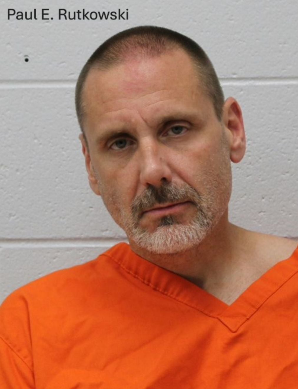 Franklin Co. Sheriff: Elkville man accused of shooting dog, said it ...