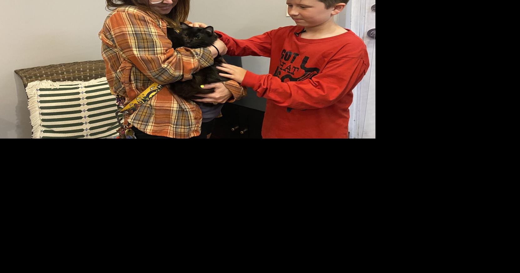 Former Meows of Hope cat finds forever home | News | WPSD Local 6