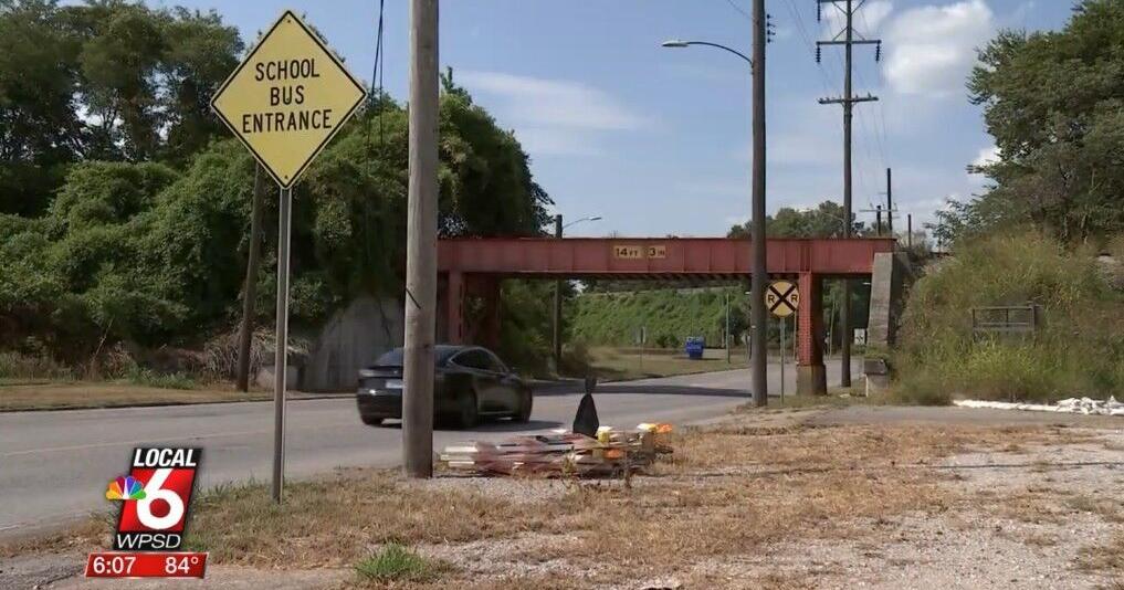 Cairo's iconic overpass to remain as landmark after Sunday removal ...
