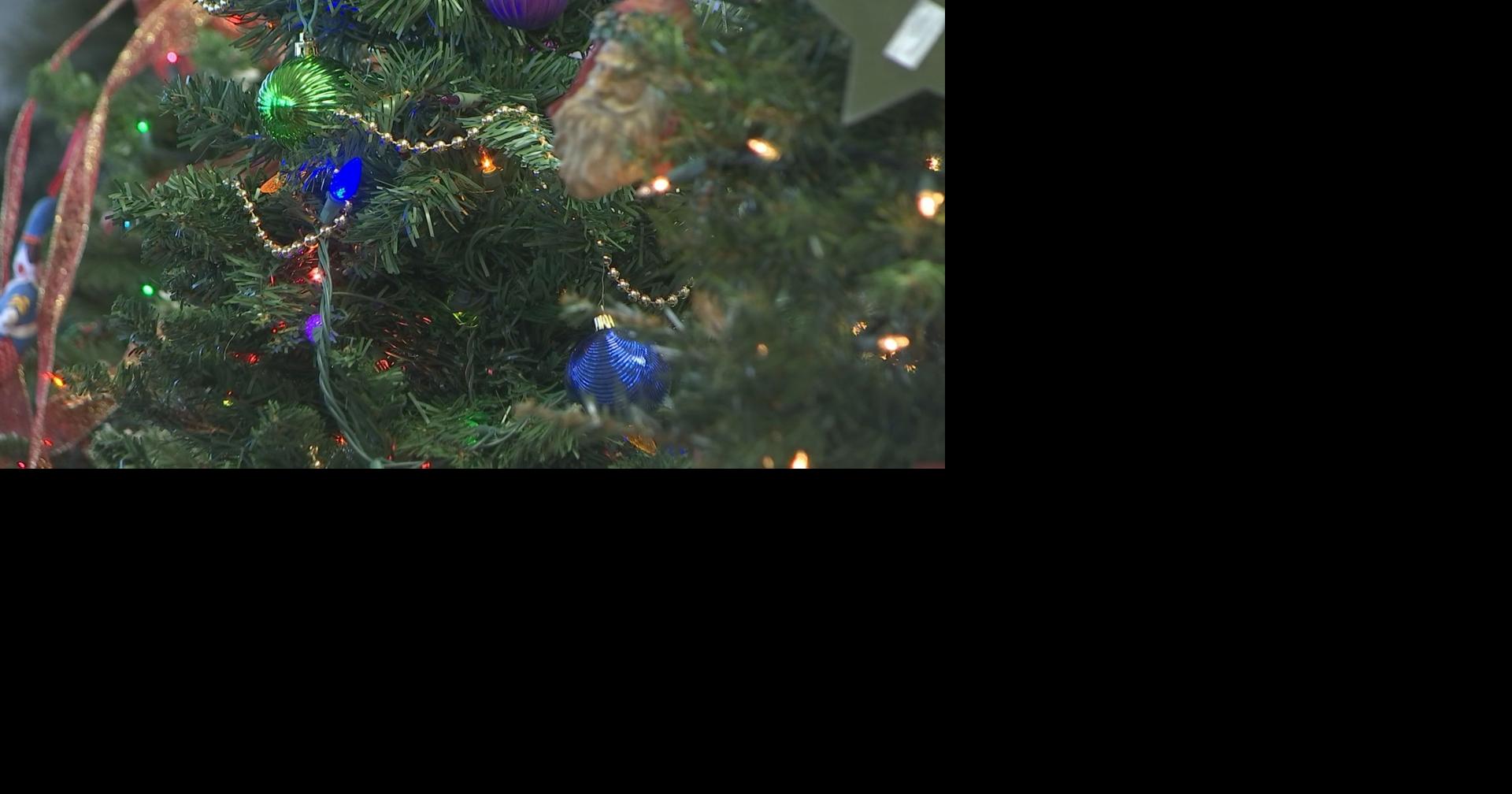 Starfish Orphan Ministry working to help local families have a better ...