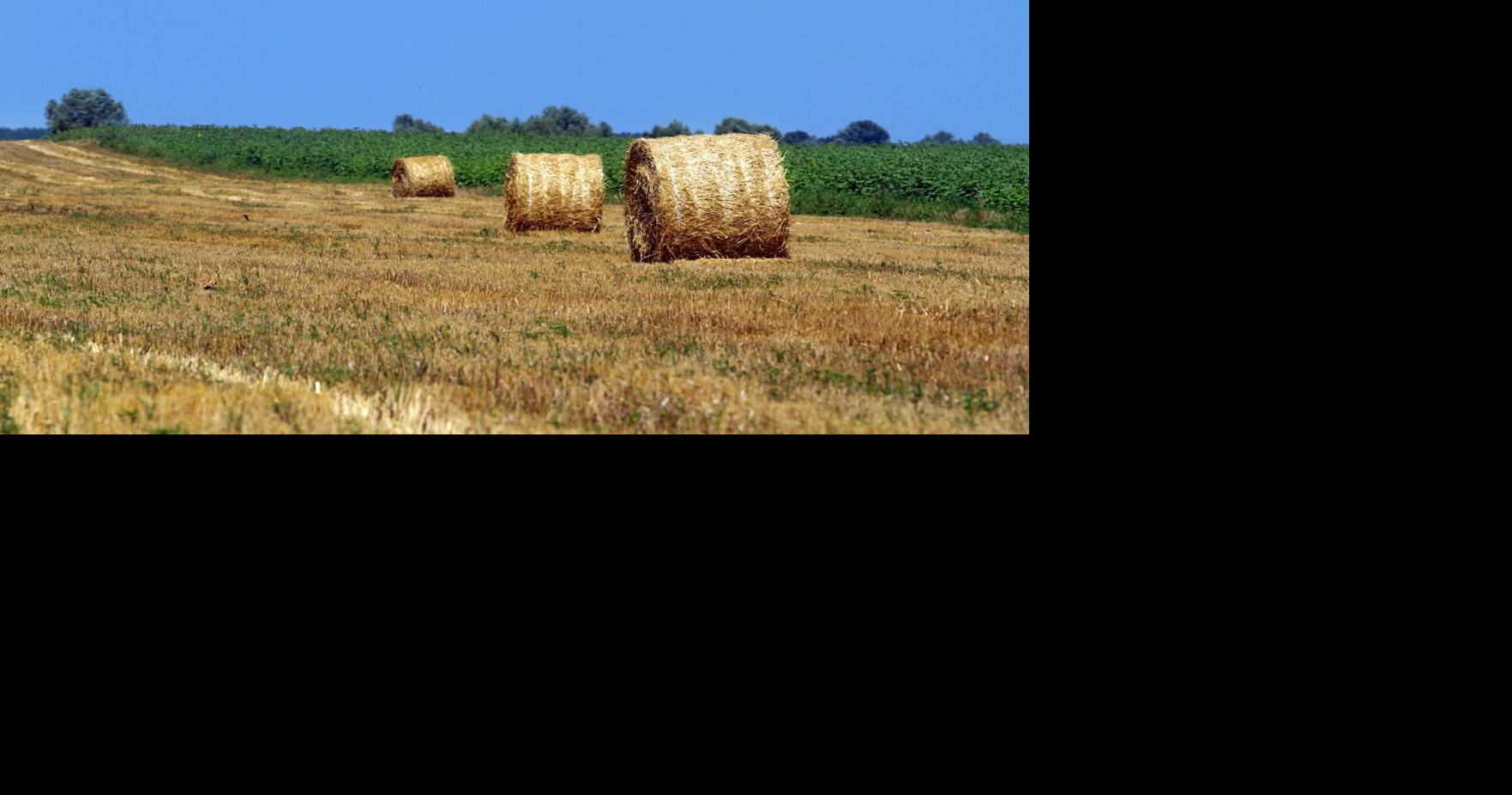 Missouri governor announces emergency water and hay access for farmers ...