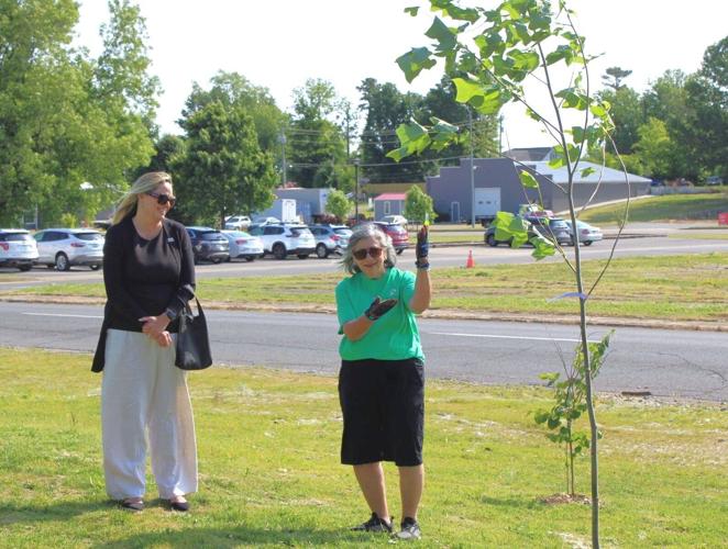 Mayfield garden club dedicates liberty tree for America250 | News ...