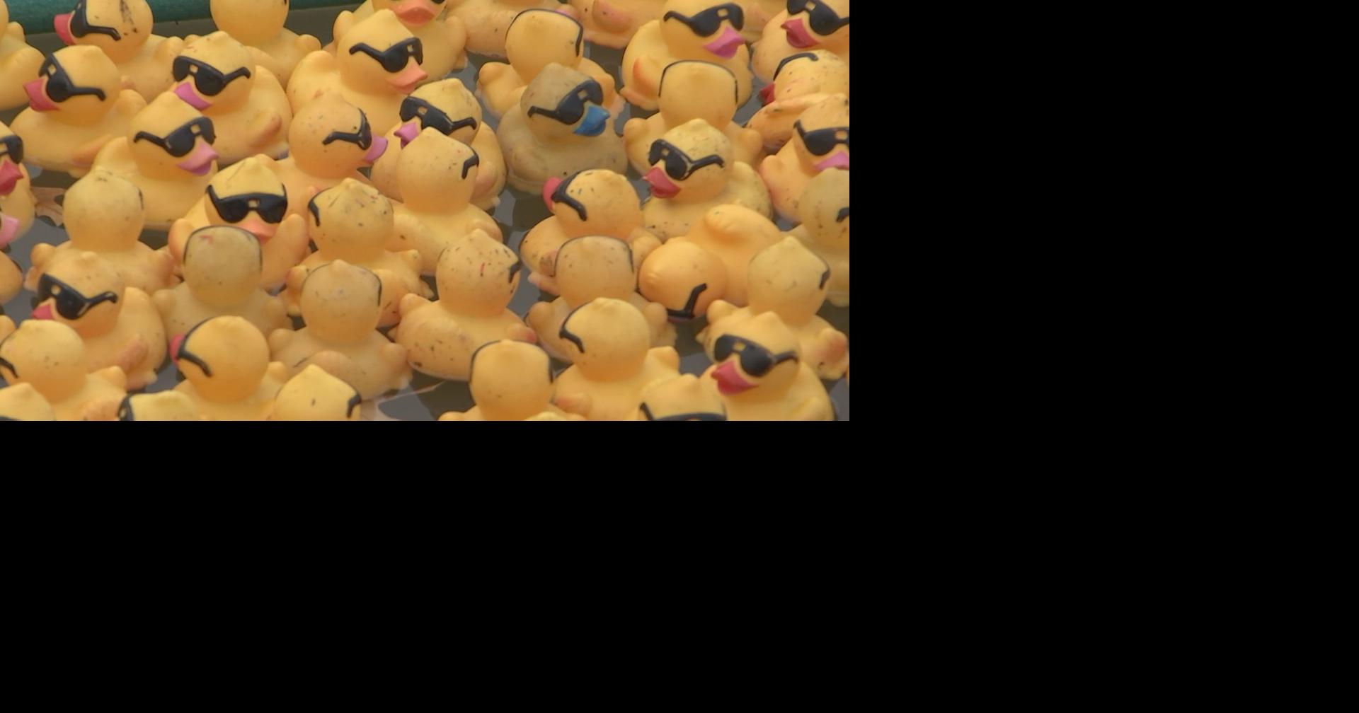 Nearly 18,000 ducks hit the water for the eighth Paducky Derby ...