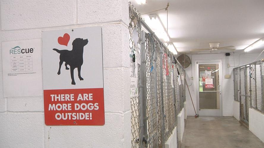 Clear the Shelters week leaves local humane society at full capacity ...