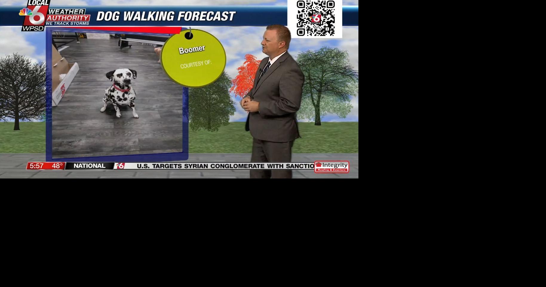 Dog walking forecast 11.15.24 | Weather | WPSD Local 6