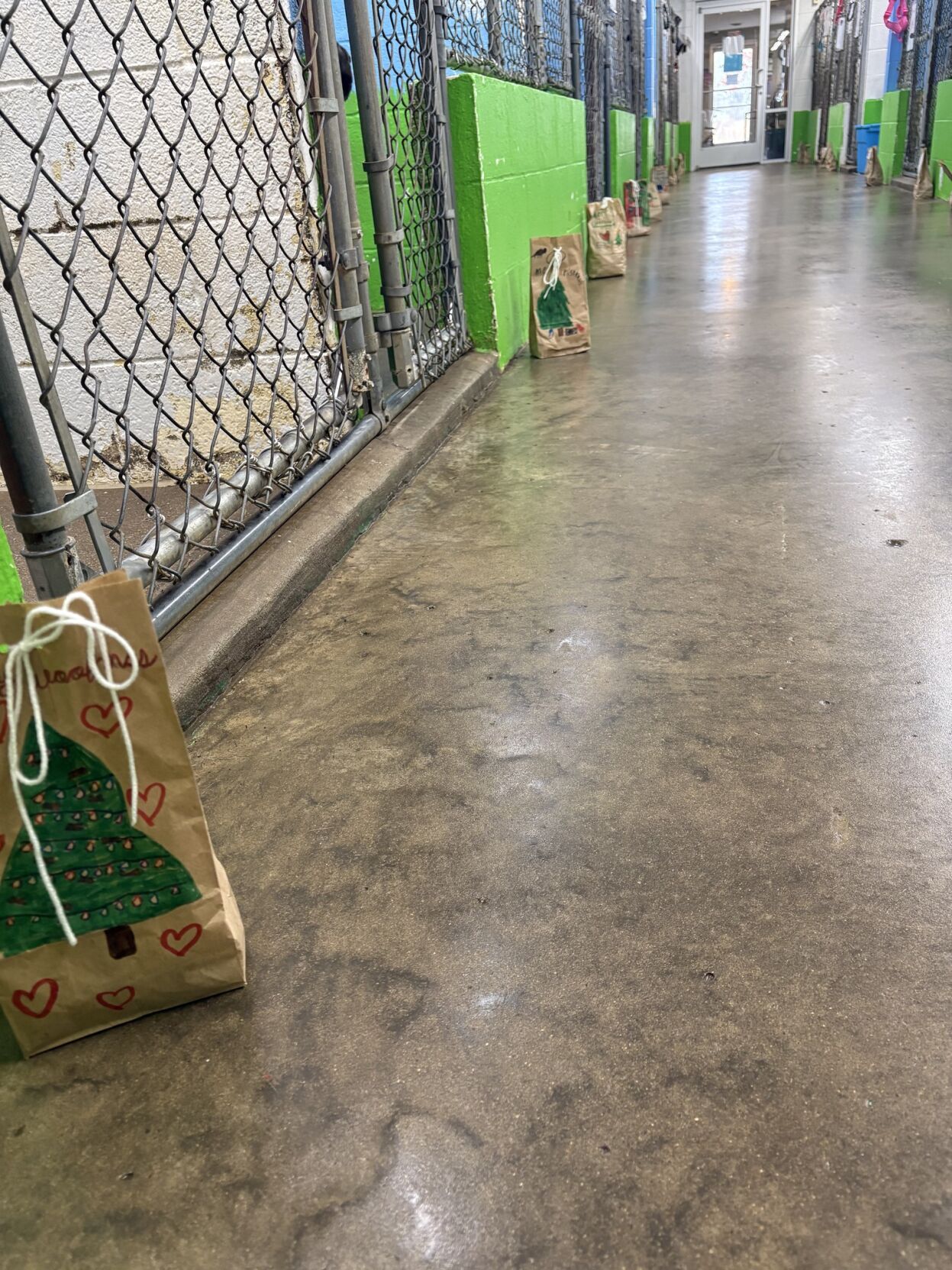 Clark Elementary students deliver treat bags to shelter dogs | News ...