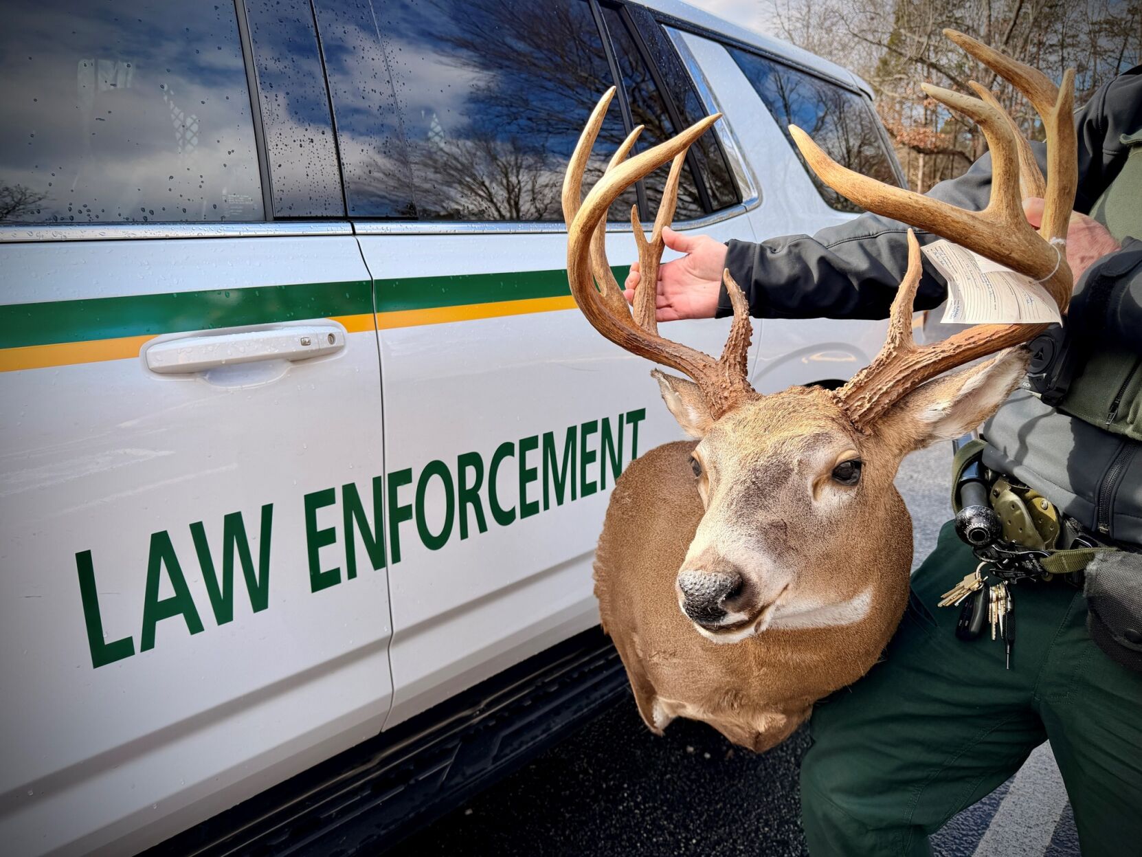 Poaching investigation culminates in federal mandatory violation notice ...