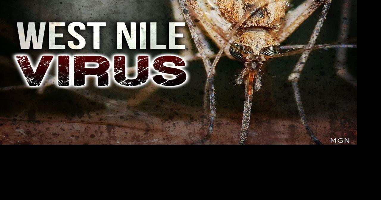 West Nile virus positive mosquitoes identified in Gallatin, Saline, and ...