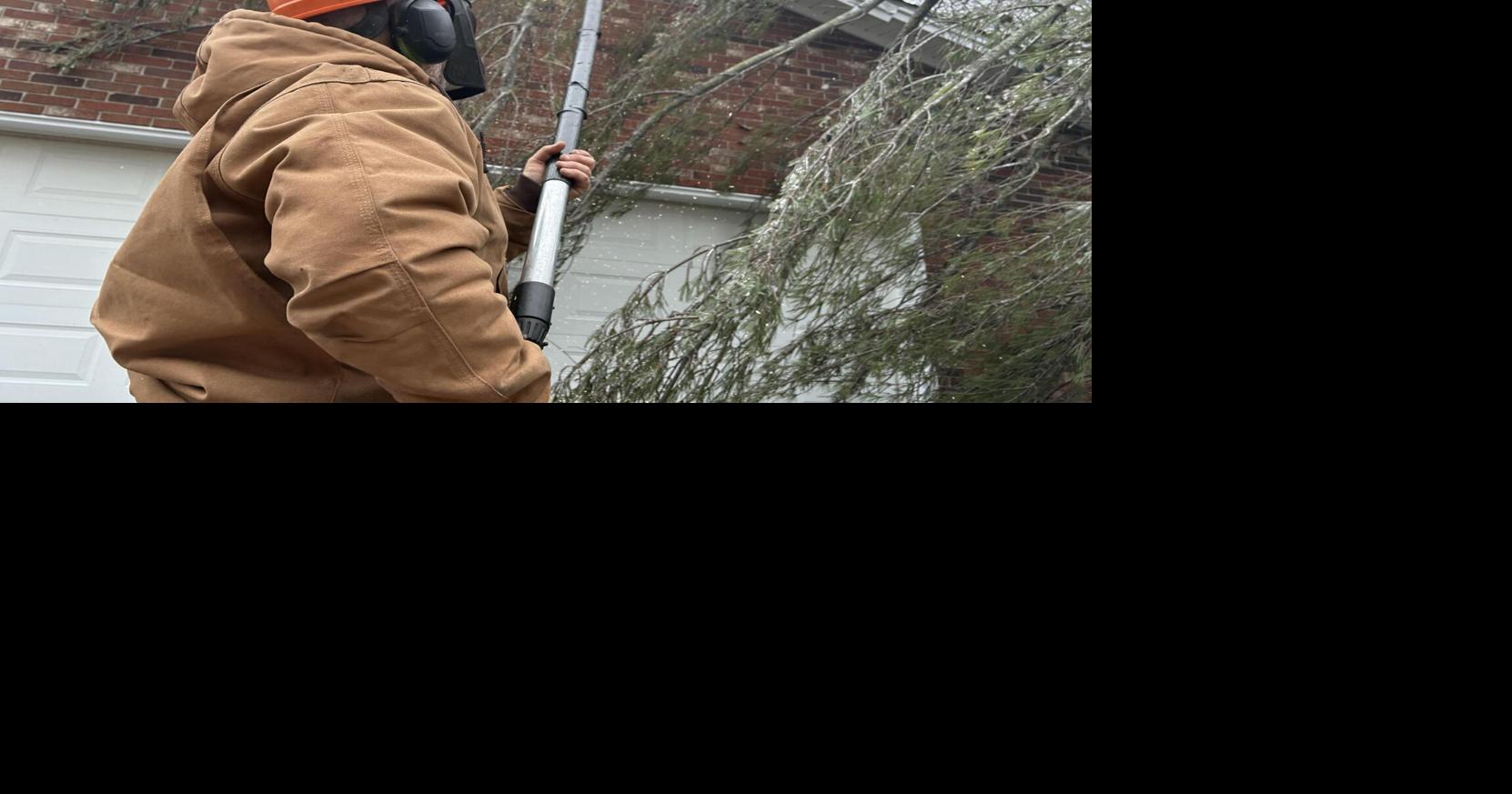 Ice storm causes widespread tree damage, local tree removal businesses ...