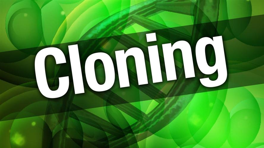 Fast facts about cloning | Archive | WPSD Local 6