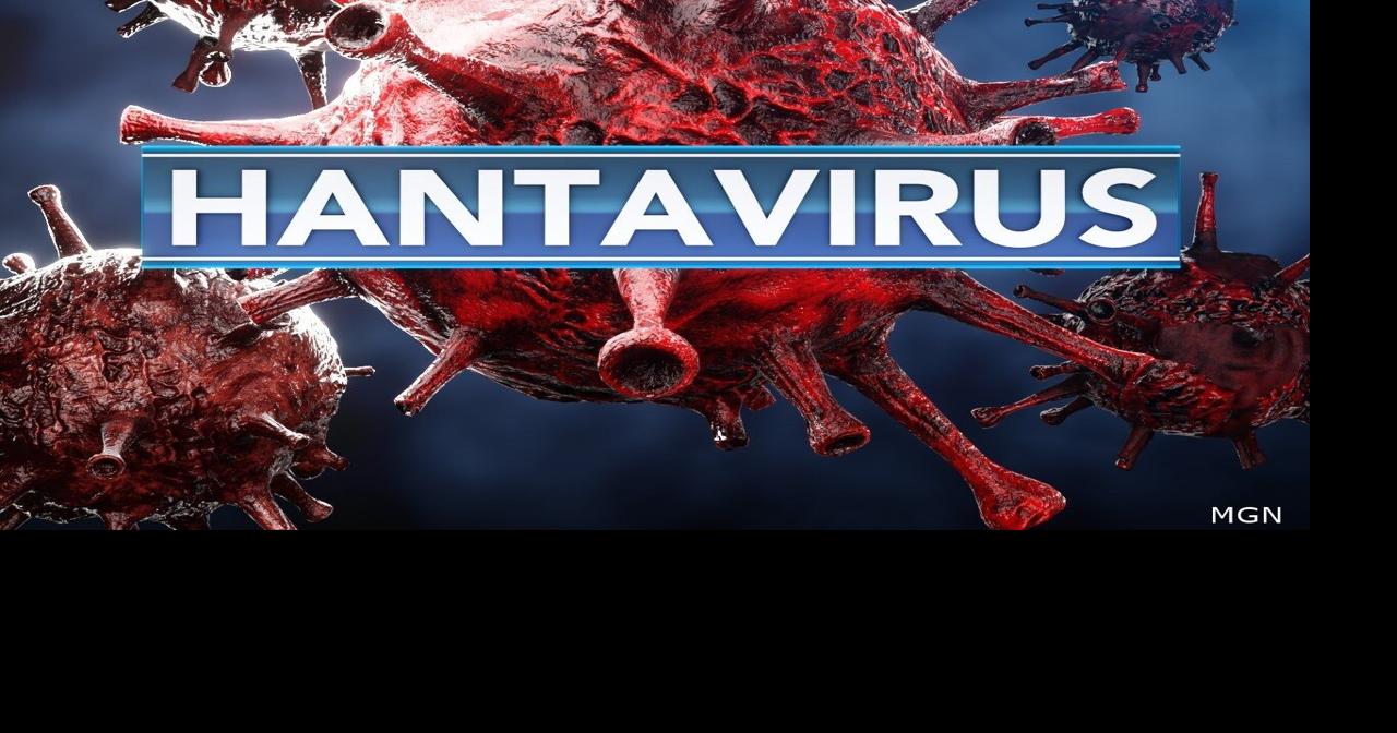 US puts up $750K to evacuate an American who was aboard hantavirus ...