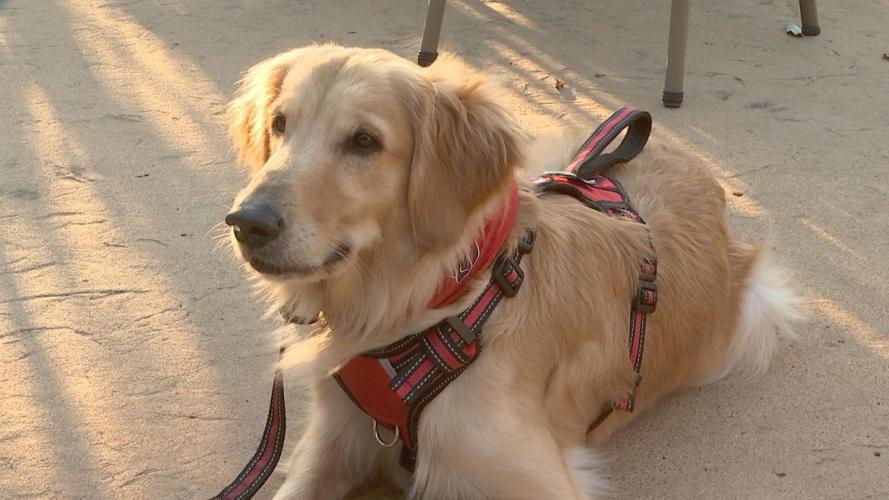 A new 'leash' on life: Four veterans given free service dogs | News ...