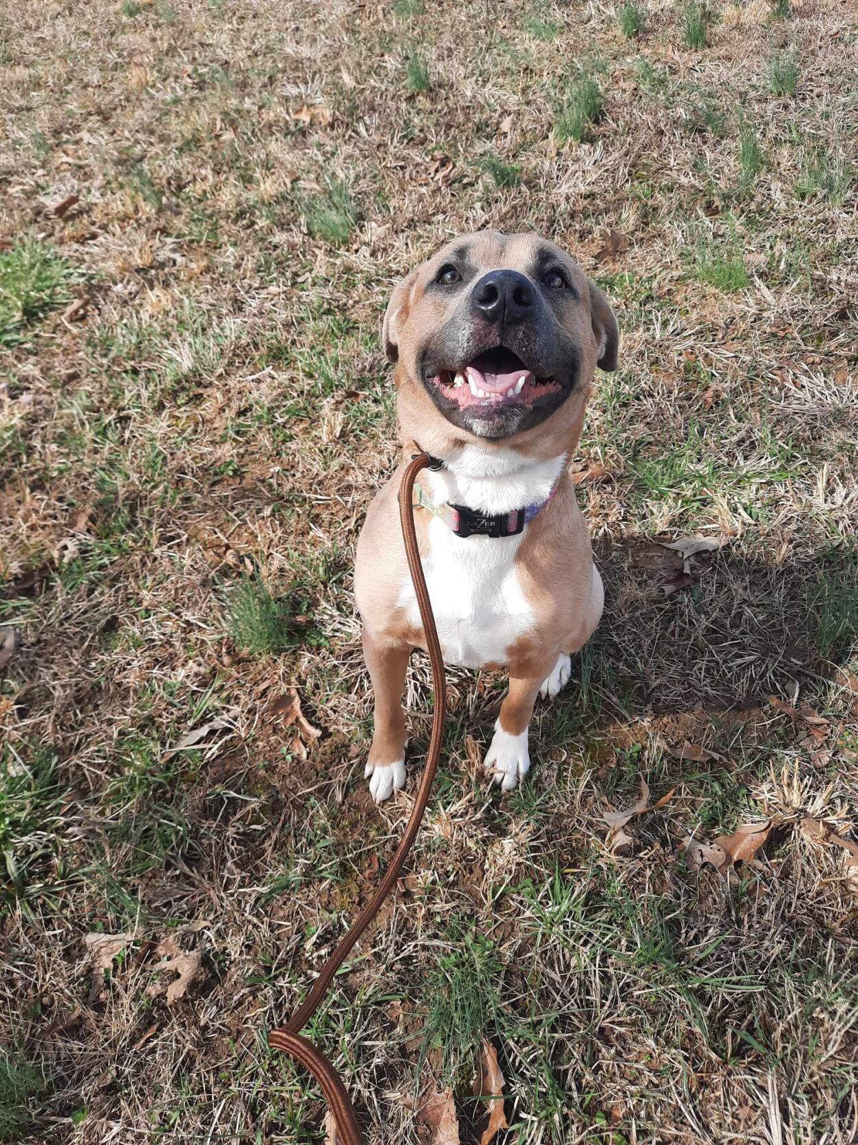 Clairee — The cutie who's excited to find her forever family | News ...