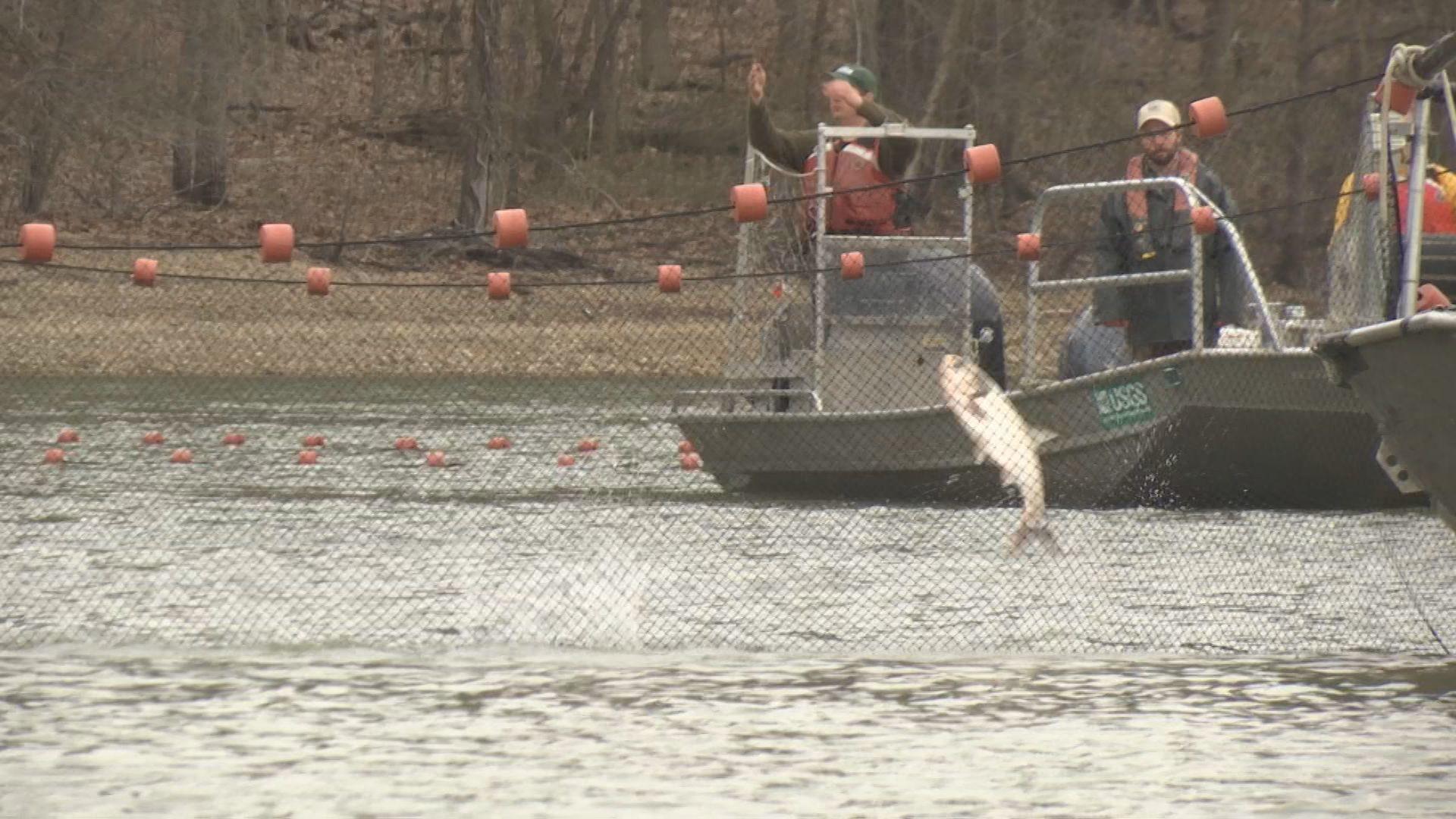 McConnell and Comer tour Kentucky Lake to see new Asian carp harvesting ...