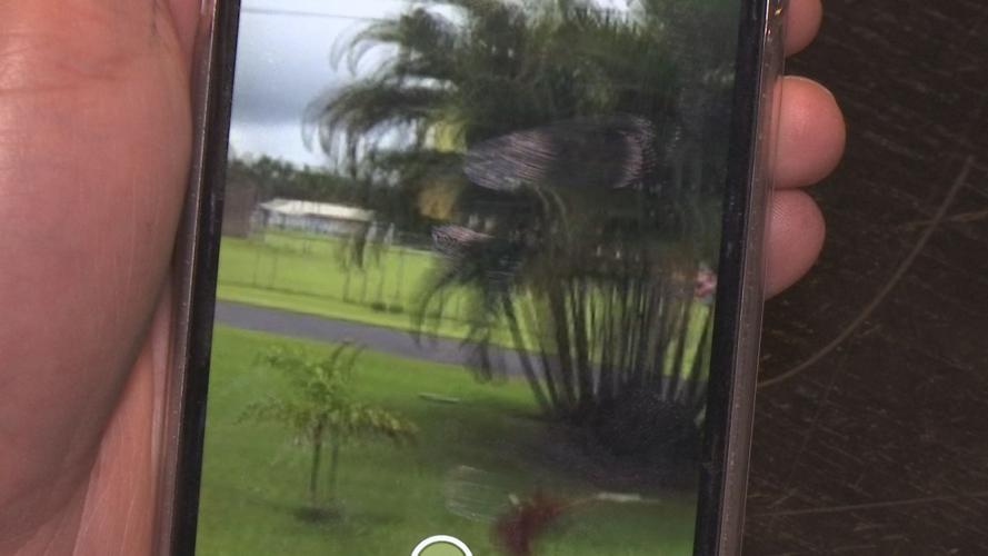 Illinois woman living in Hawaii keeping eye on heavy rains from Lane ...