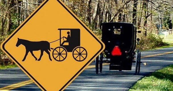 Amish man dies when buggy hit, woman charged with DUI | Kentucky News ...