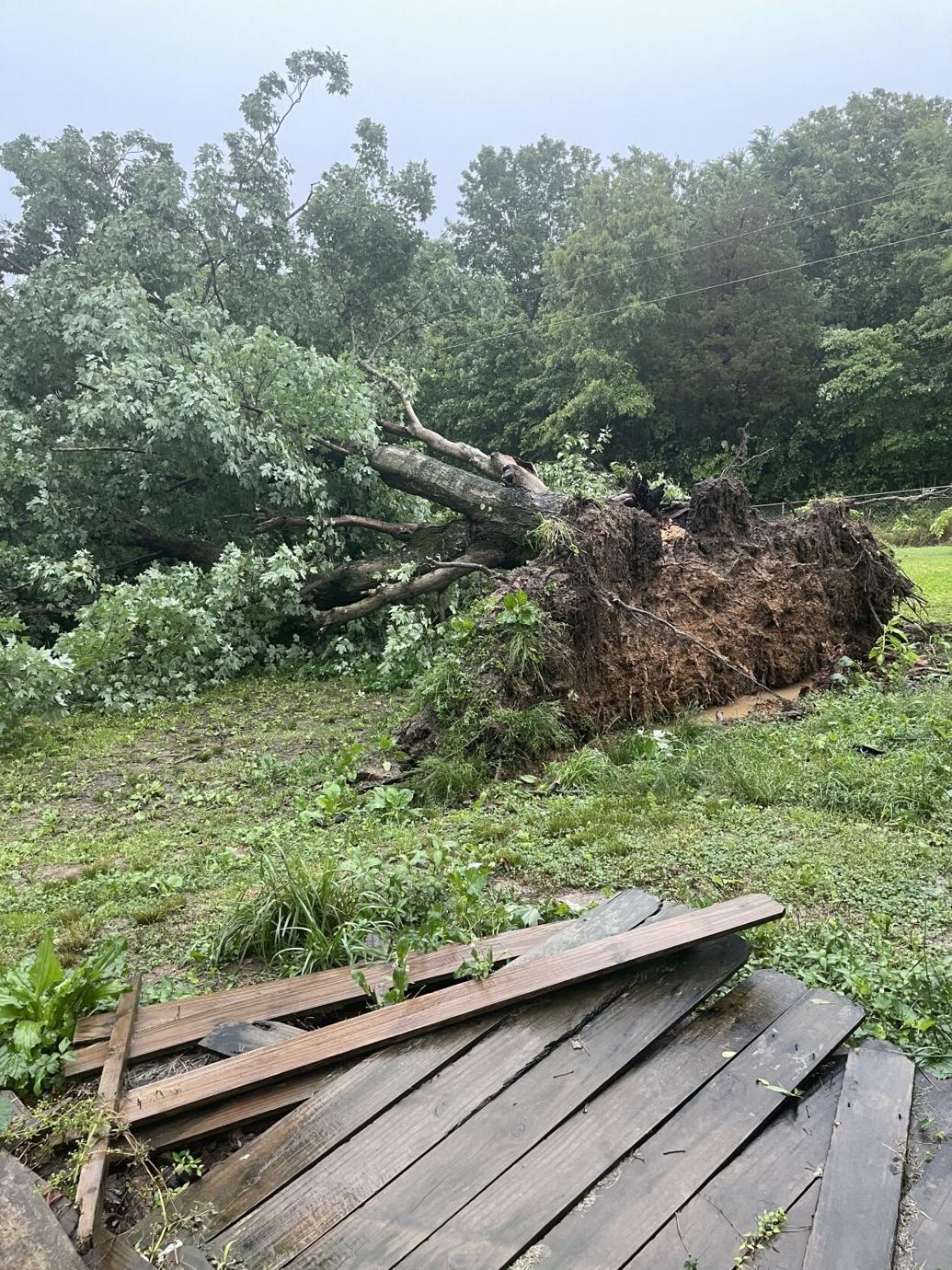 Your Weather Photos - 05/26/24 storm damage | Weather Window | WPSD Local 6