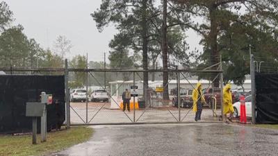 25 monkeys recovered after dozens escape in South Carolina. Others are ‘jumping back and forth ...