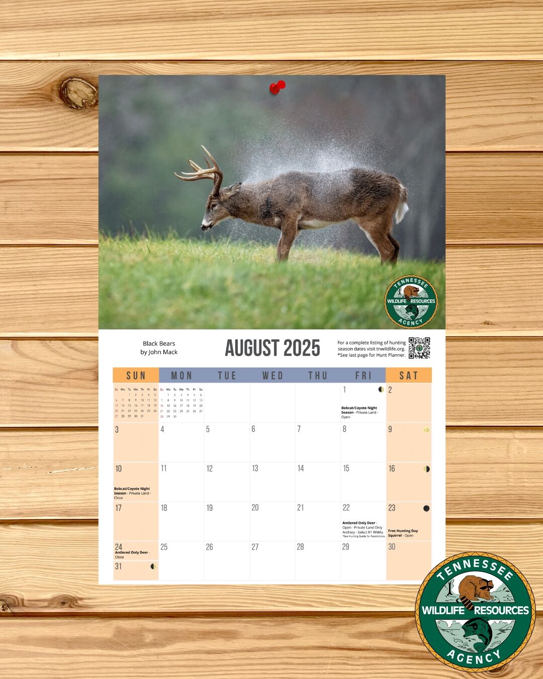 Tennessee Wildlife Resource Agency seeking photography submissions for ...