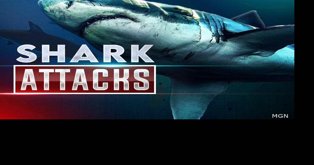 A shark expert gives tips on how to avoid shark encounters or survive ...
