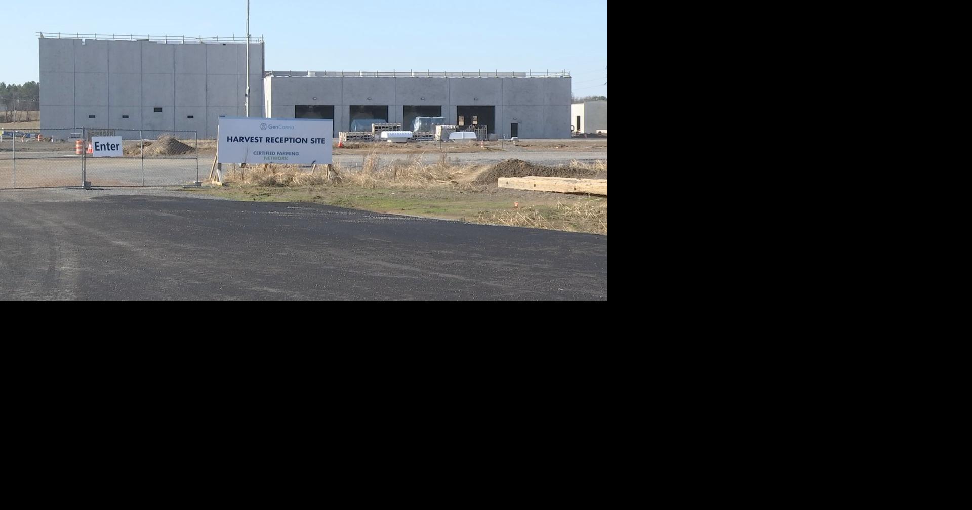 GenCanna Global charts new path as leading CBD company | News | WPSD ...