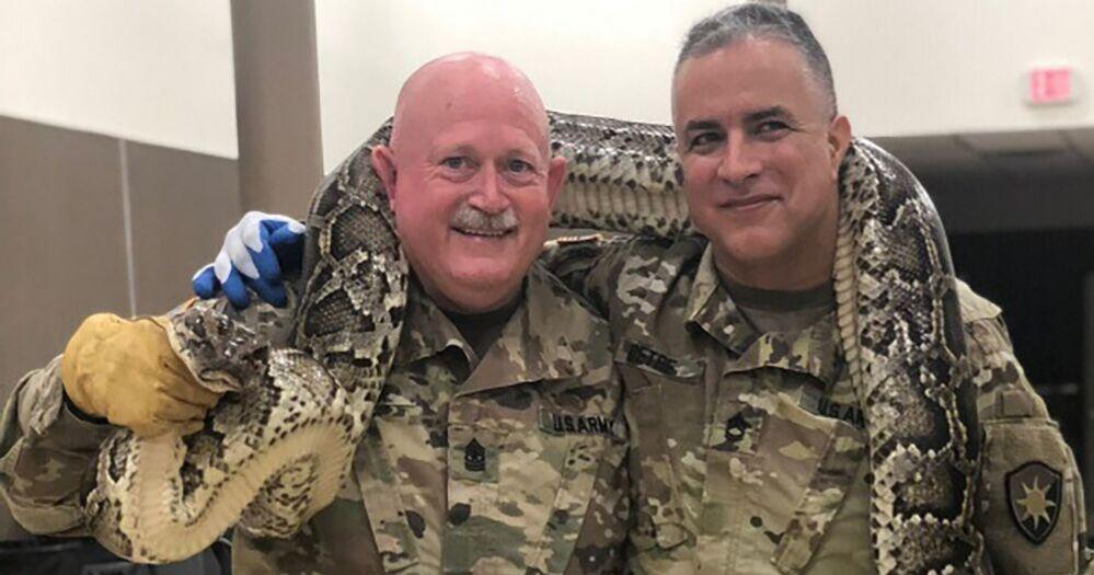 Florida’s Python Challenge is just wrangling snakes for some. But for ...