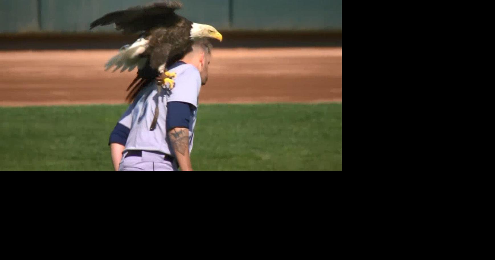 james paxton eagle