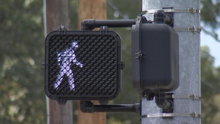 PTHS student injured in hit-and-run, law enforcement searches for ...