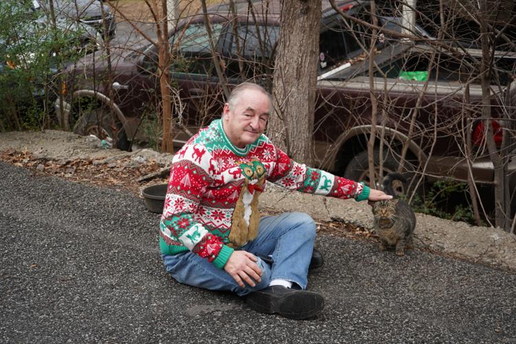 'We don't miss a day' — Paducah rescue group feeds cats on Christmas ...