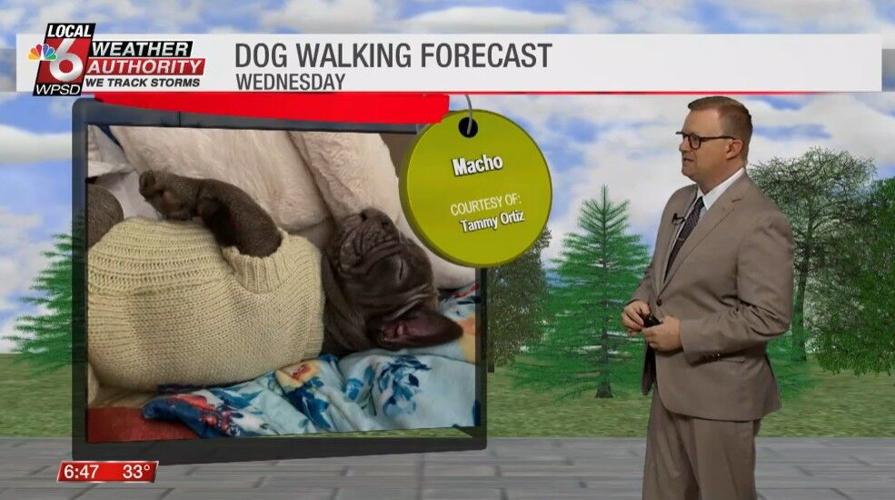 Dog walking forecast 1.7.26 | News | WPSD Local 6