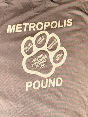 ‘Come claim your dog’: At capacity, Metropolis pound looking for owners ...