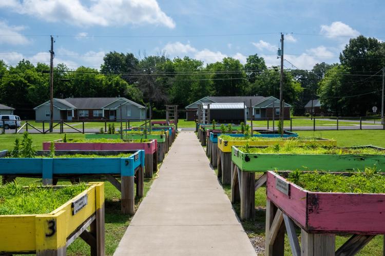 Kentucky ranks 48th in senior health, nonprofits work to pick up the ...
