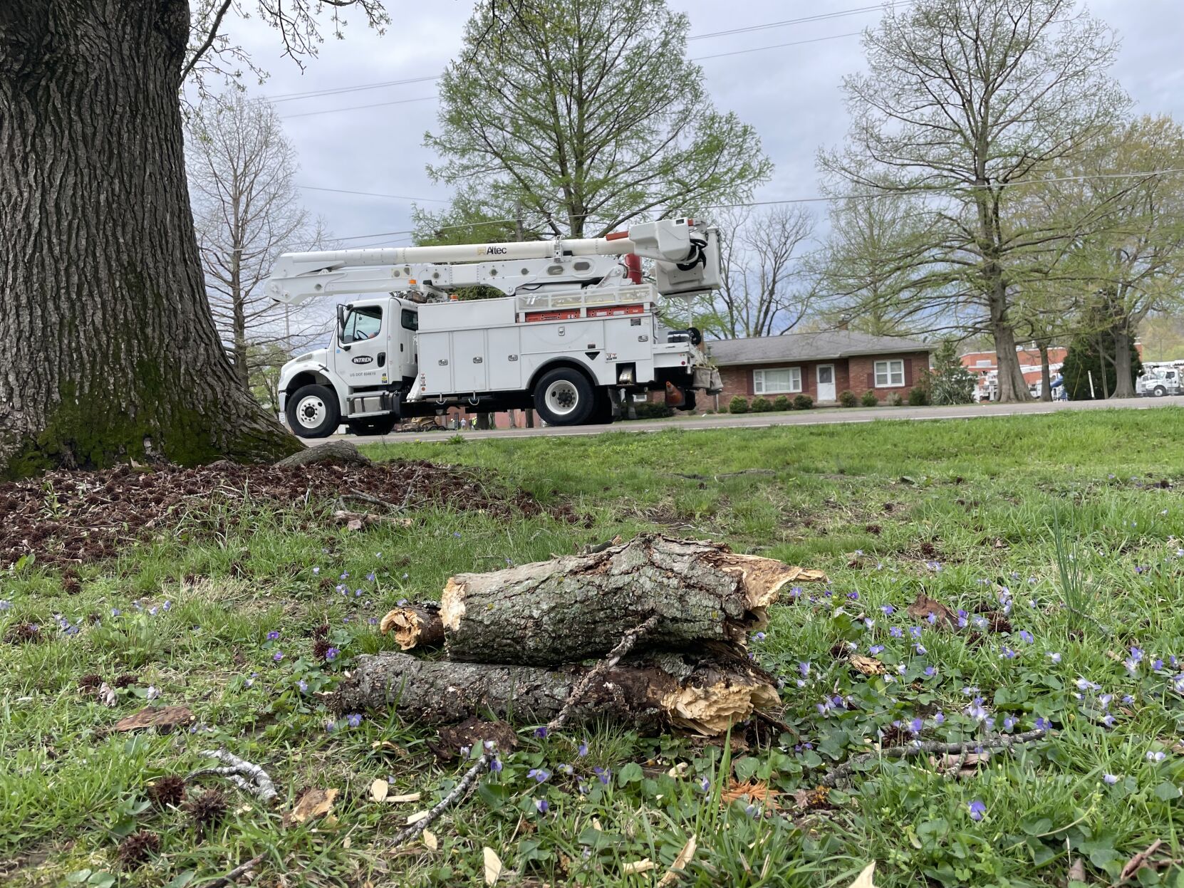 Delta, Missouri, begins storm recovery after likely tornado | News ...